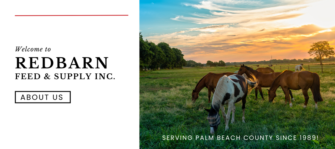 Your Local Feed And Supply Store