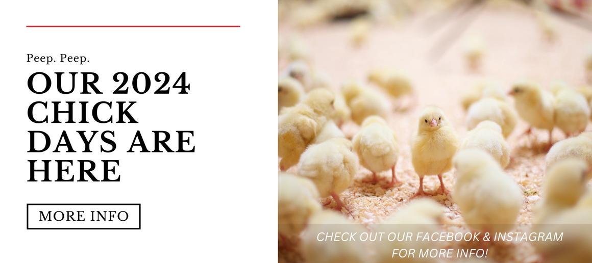 Your Local Feed And Supply Store